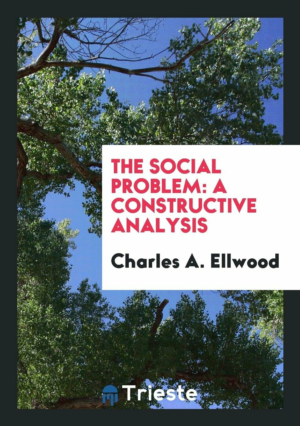The Social Problem. A Constructive Analysis — фото 1