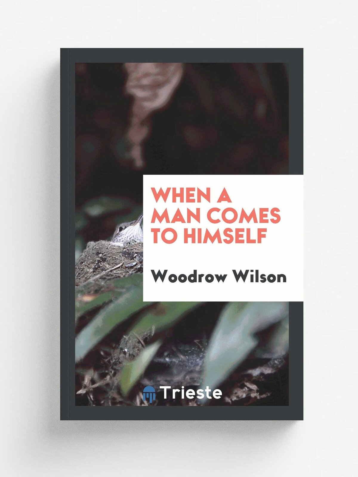 When a Man Comes to Himself