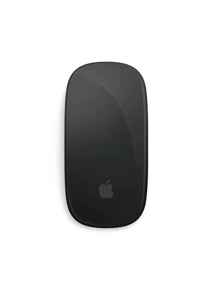 Apple Мышь Magic Mouse 2024, черно-серый — фото 1