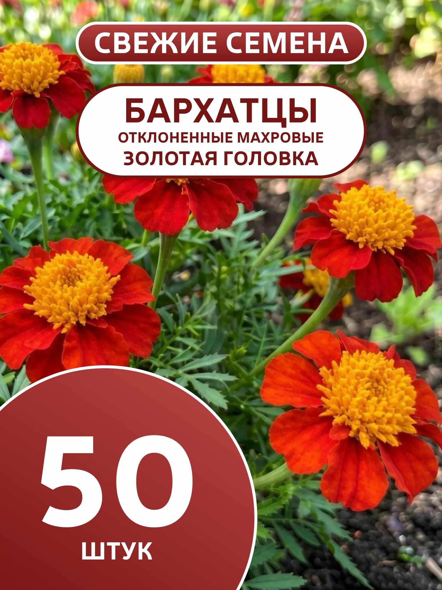 Бархатцы махровые семена для выращивания 50 шт