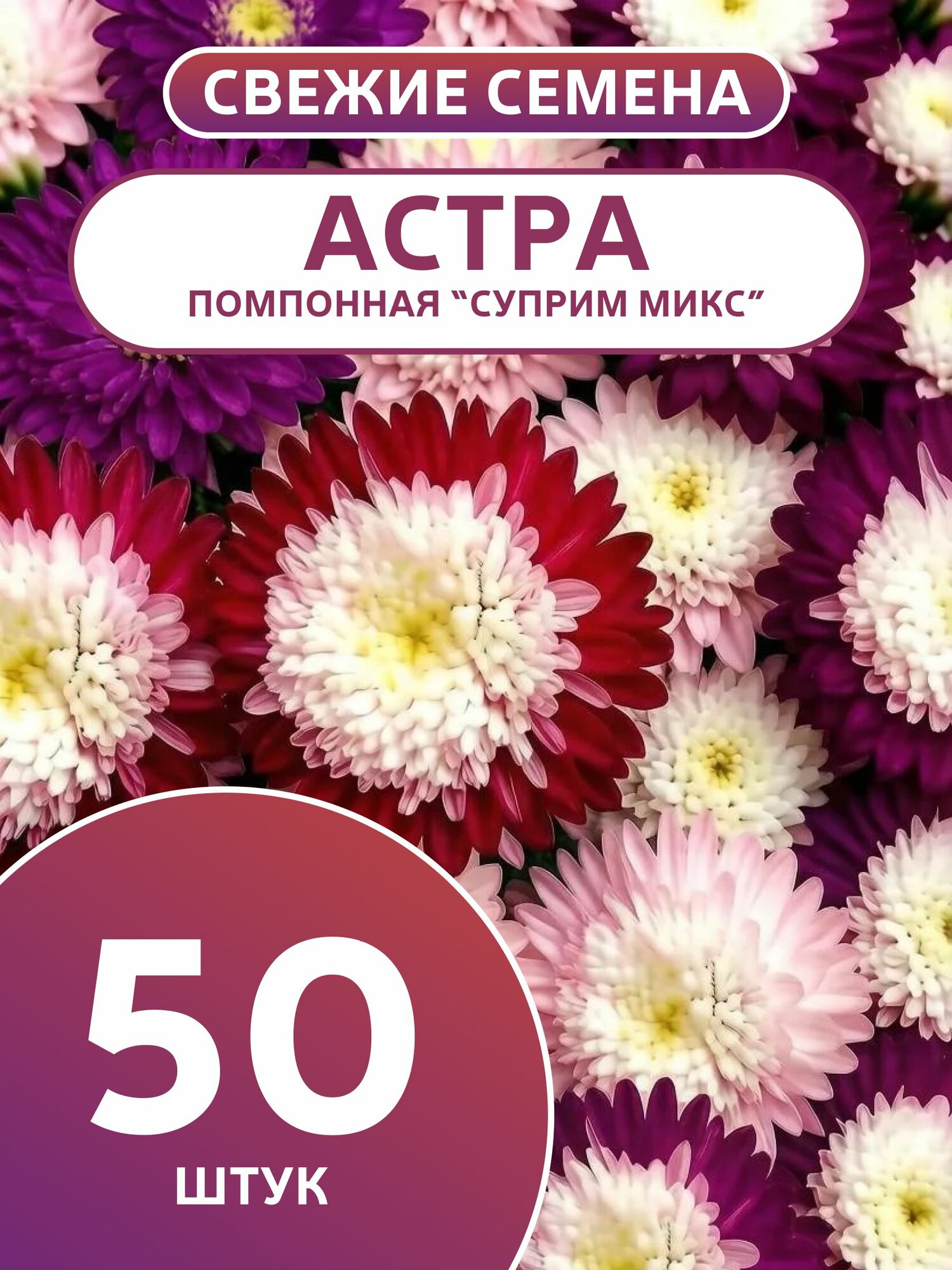 Астра помпонная семена для выращивания 50 шт