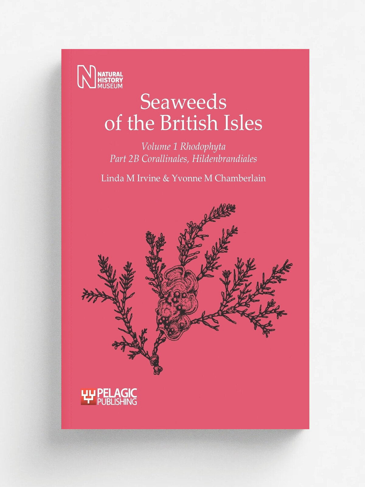 Seaweeds of the British Isles. Corallinales, Hildenbrandiales