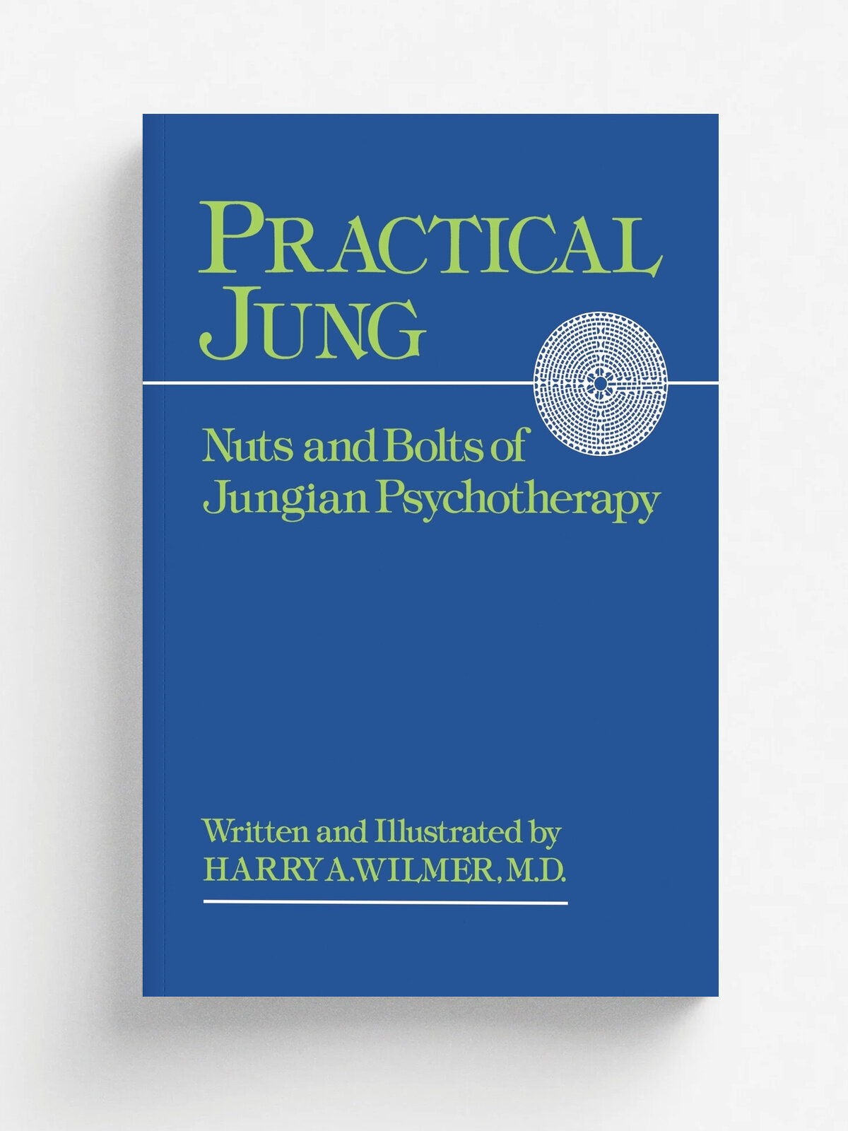Practical Jung. Nuts and Bolts of Jungian Psychotherapy