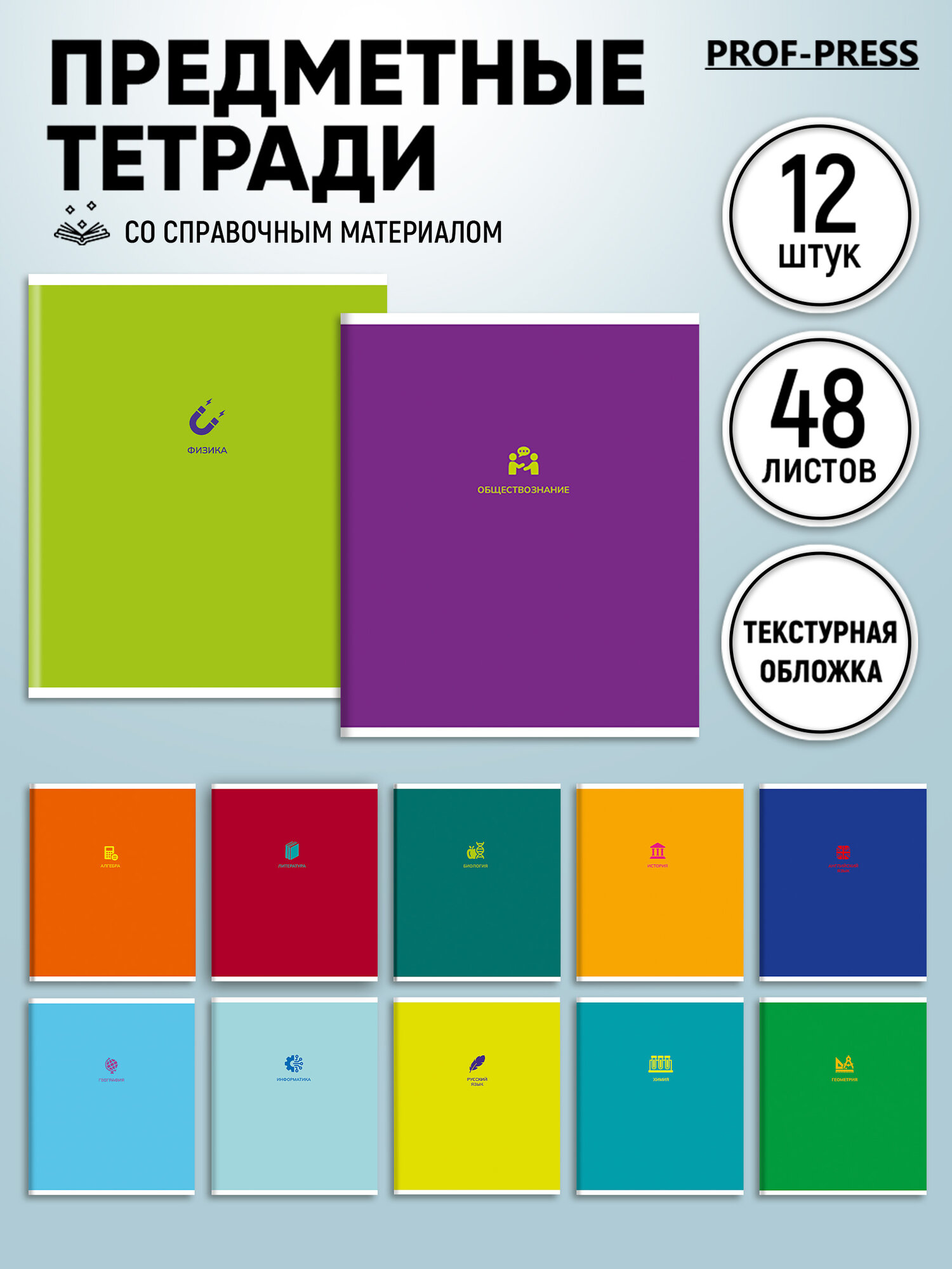 Тетради предметные 48 листов Prof-Press набор 12 штук
