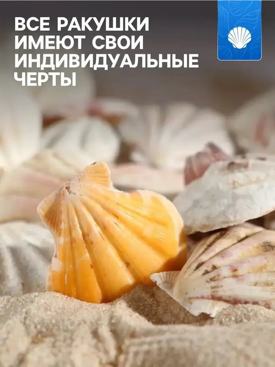 Элегантный набор ракушек для рукоделия