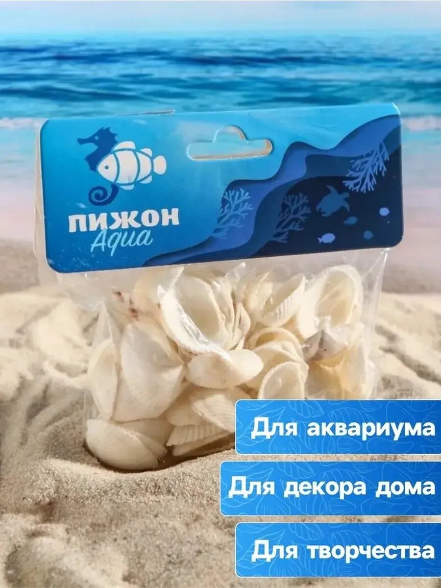Элегантный набор морских ракушек для декора