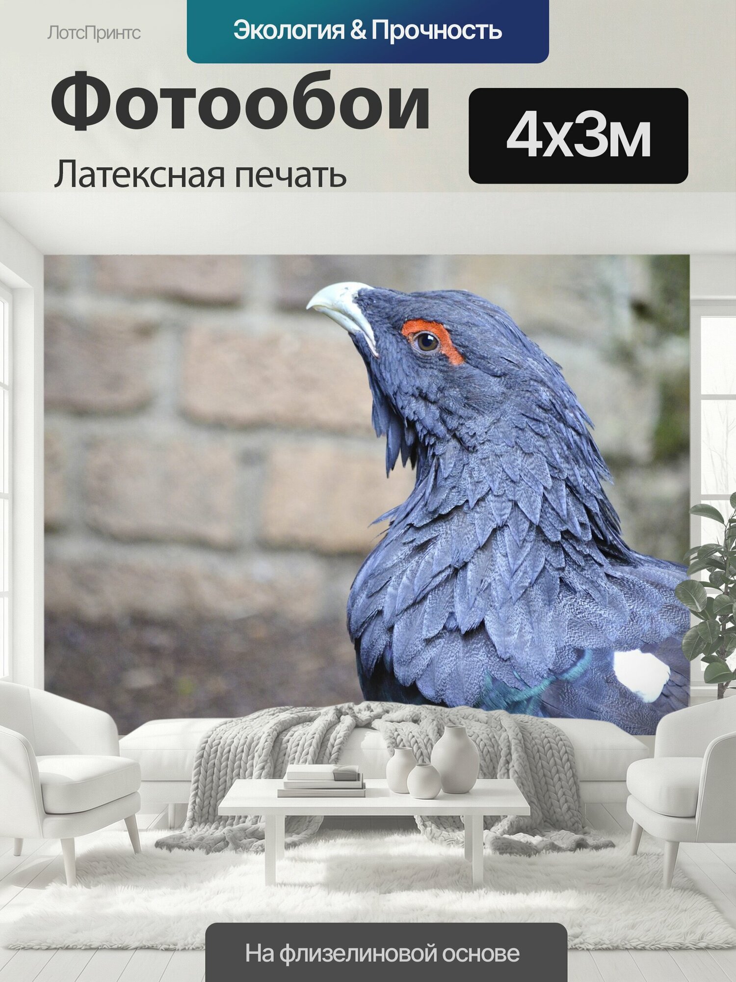 Фотообои моющиеся ударопрочные "Тетерев, курица, застенчивый" 400x300 см. латексная печать