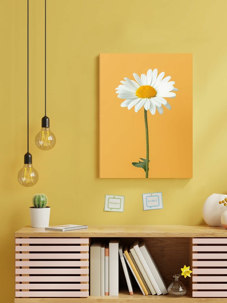 Картина на стену для интерьера Ромашки 30x40 см