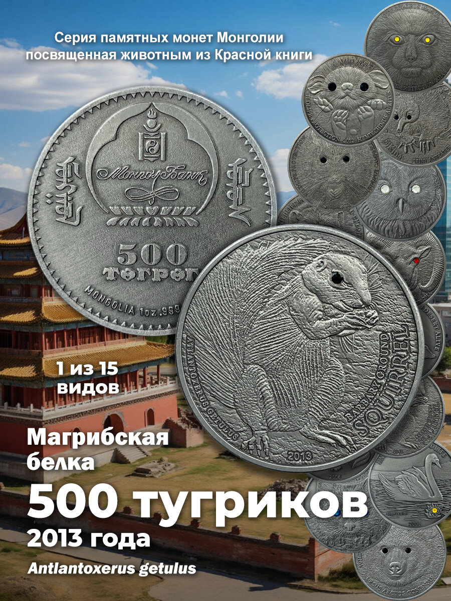 Монета 500 тугриков 2013 Монголия, Магрибская белка, сувенир