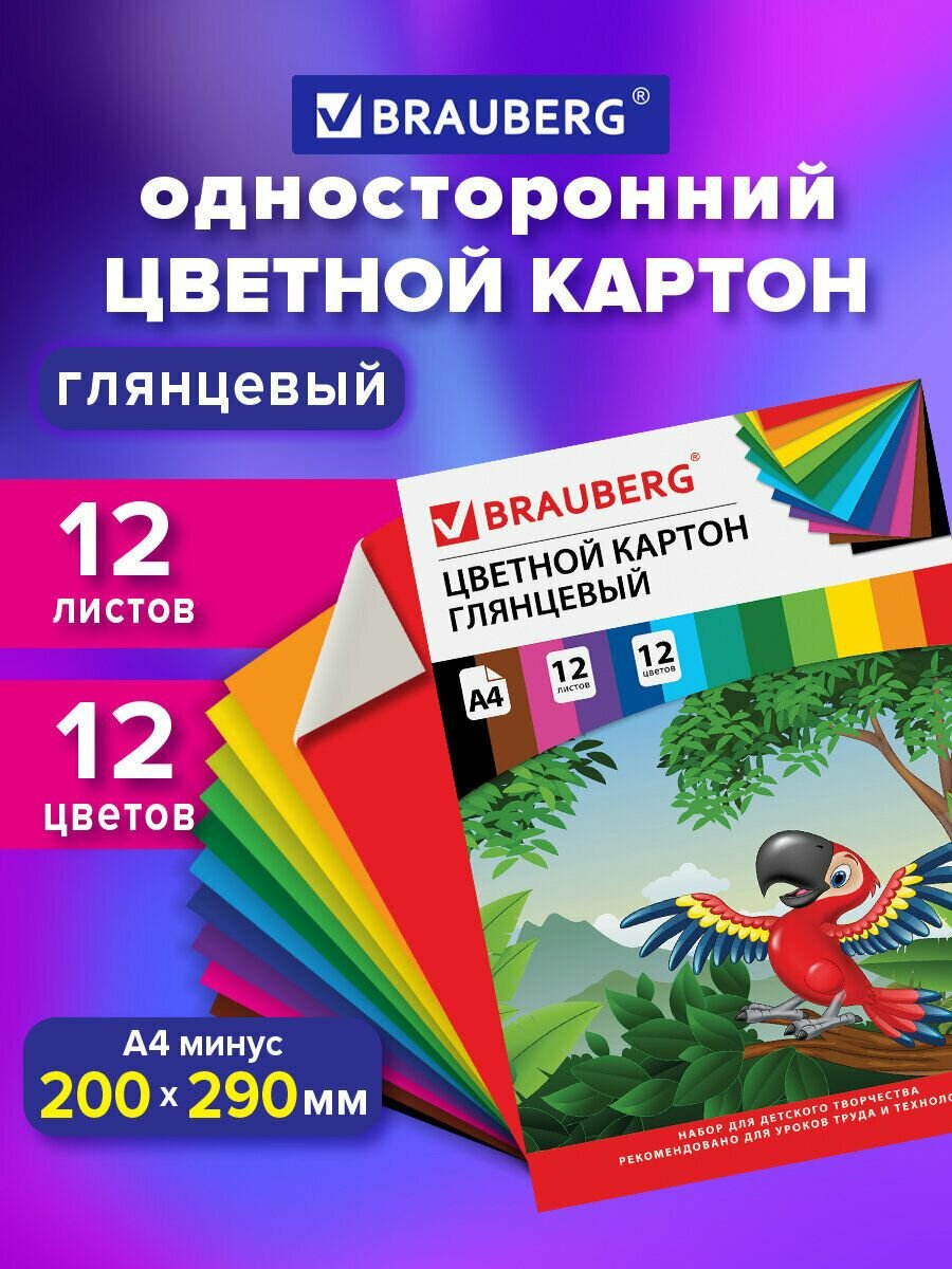 Картон цветной формата А4 для творчества / оформления А4 мелованный глянцевый, 12 листов 12 цветов, в папке, Brauberg, 200х290 мм, Килиманджаро мелованный глянцевый картон для творчества А4 набор 12 цветов