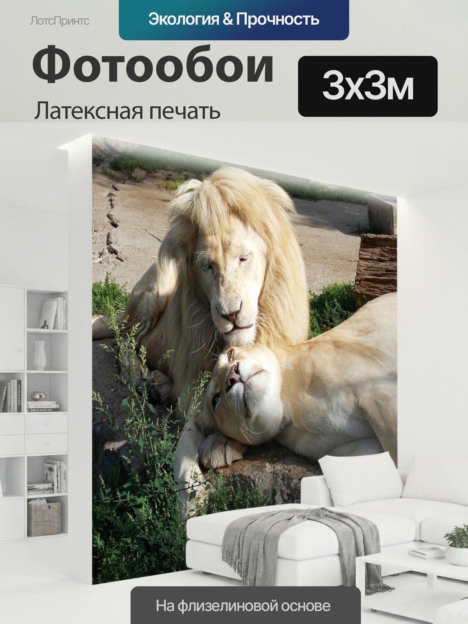 Фотообои моющиеся ударопрочные "Белый лев, львы, львица" 300x300 см. латексная печать