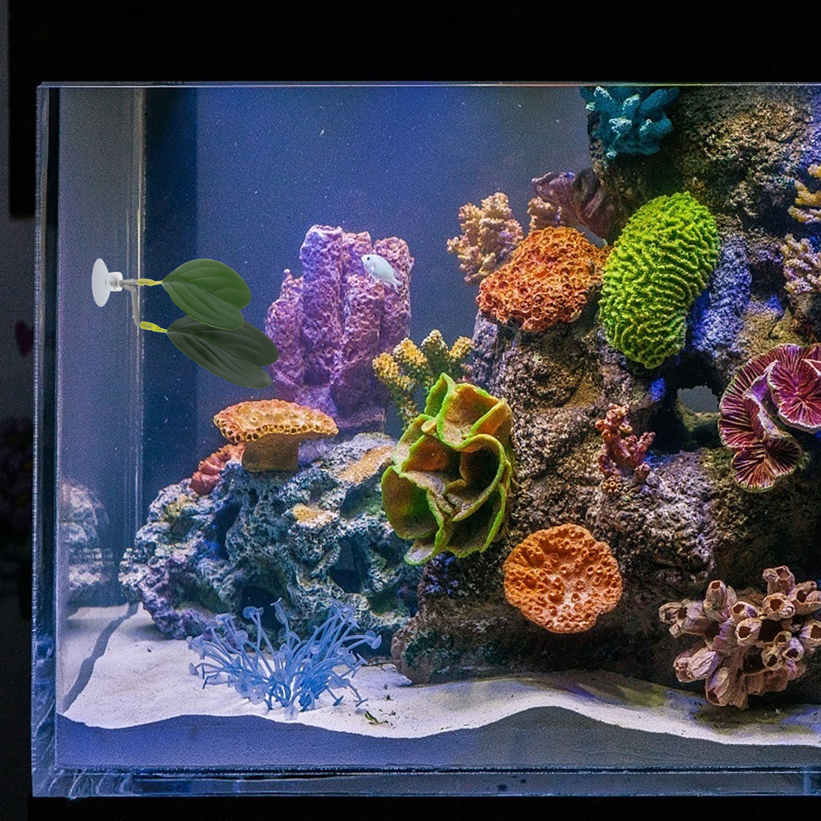 Лежак Для Рыбок Бетта В Форме Листа Зеленый 11.00X6.00X4.00Cm