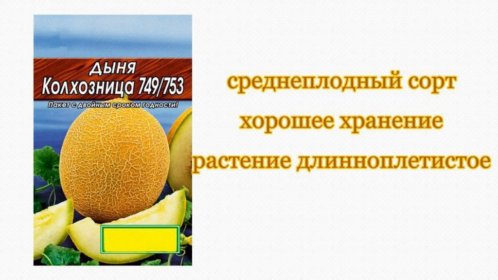 Дыня колхозница 749/753 1г, Мякоть плода белая, плотная, вязкая, сладкая. Сорт устойчив к пониженным температурам и другим неблагоприятным условиям.