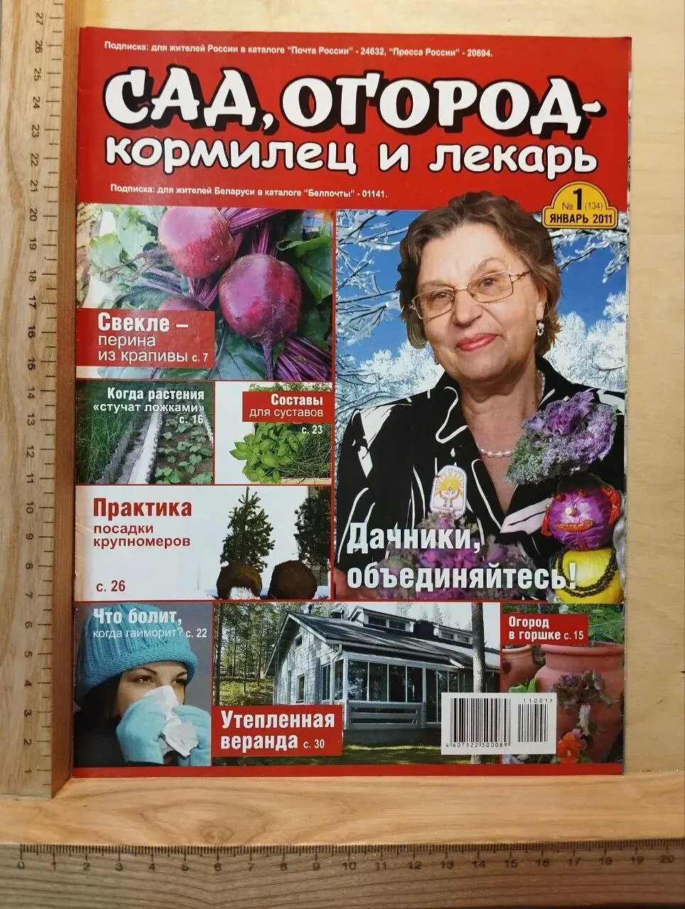 Журнал "Сад, огород кормилец и лекарь" №1 (134) январь 2011 г.