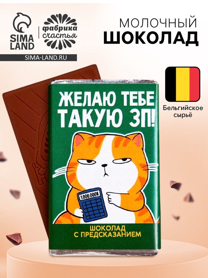 Шоколад молочный Желаю ЗП с предсказанием, 12 г, 2 шт.