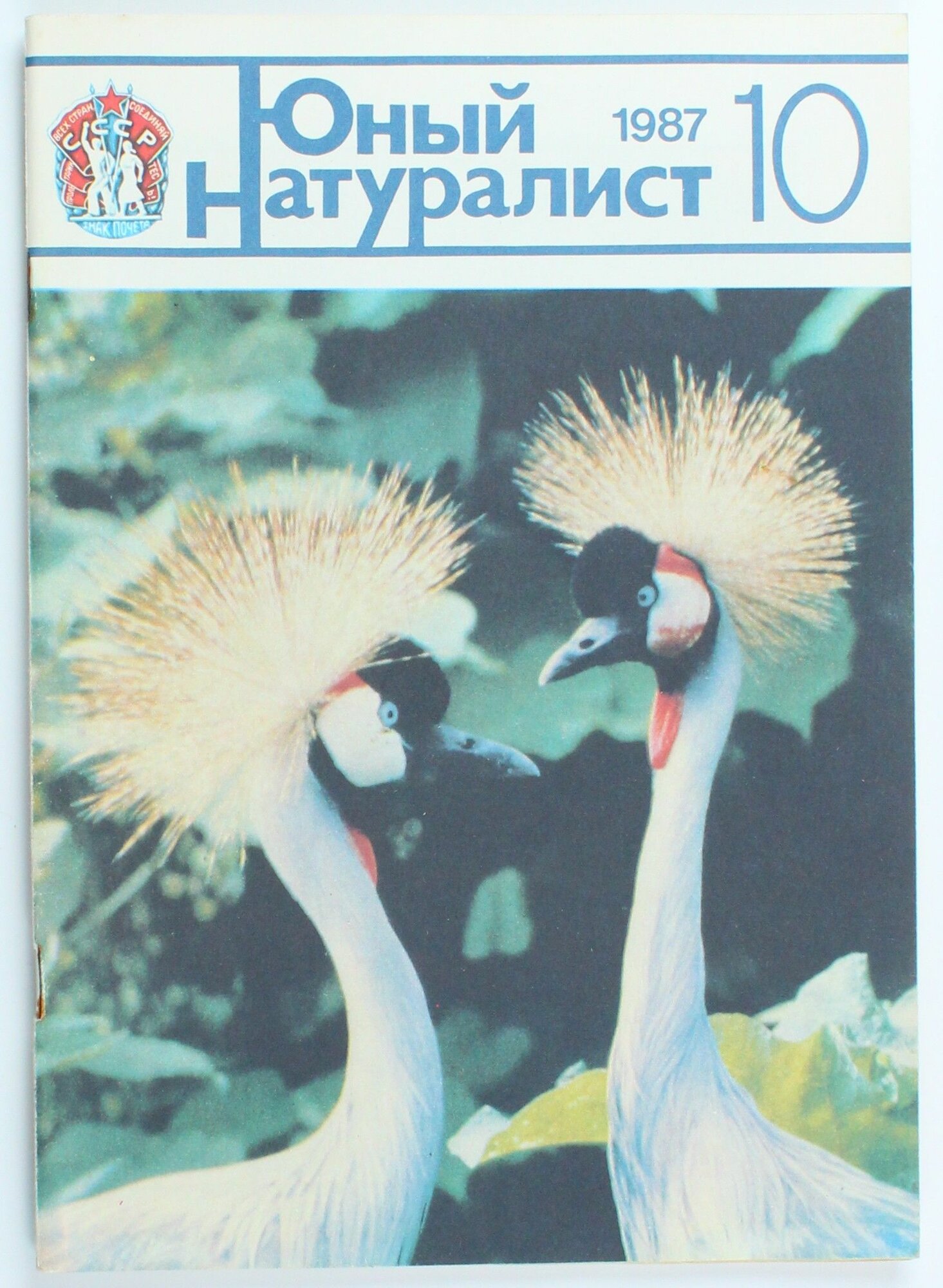Винтажный журнал СССР Юный Натуралист, выпуск 10/1987