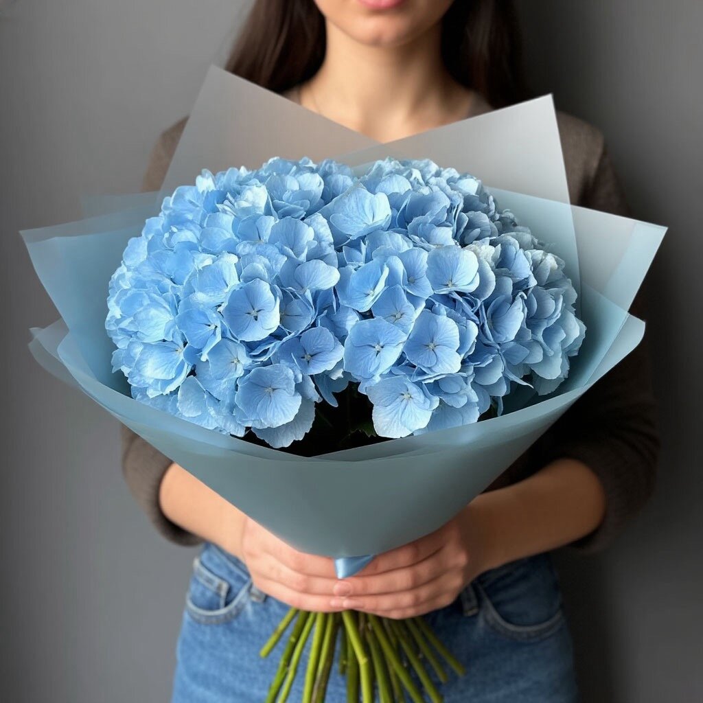 Монобукет "Букет из трех гортензий", в нежной упаковке, розовый , белый и голубой