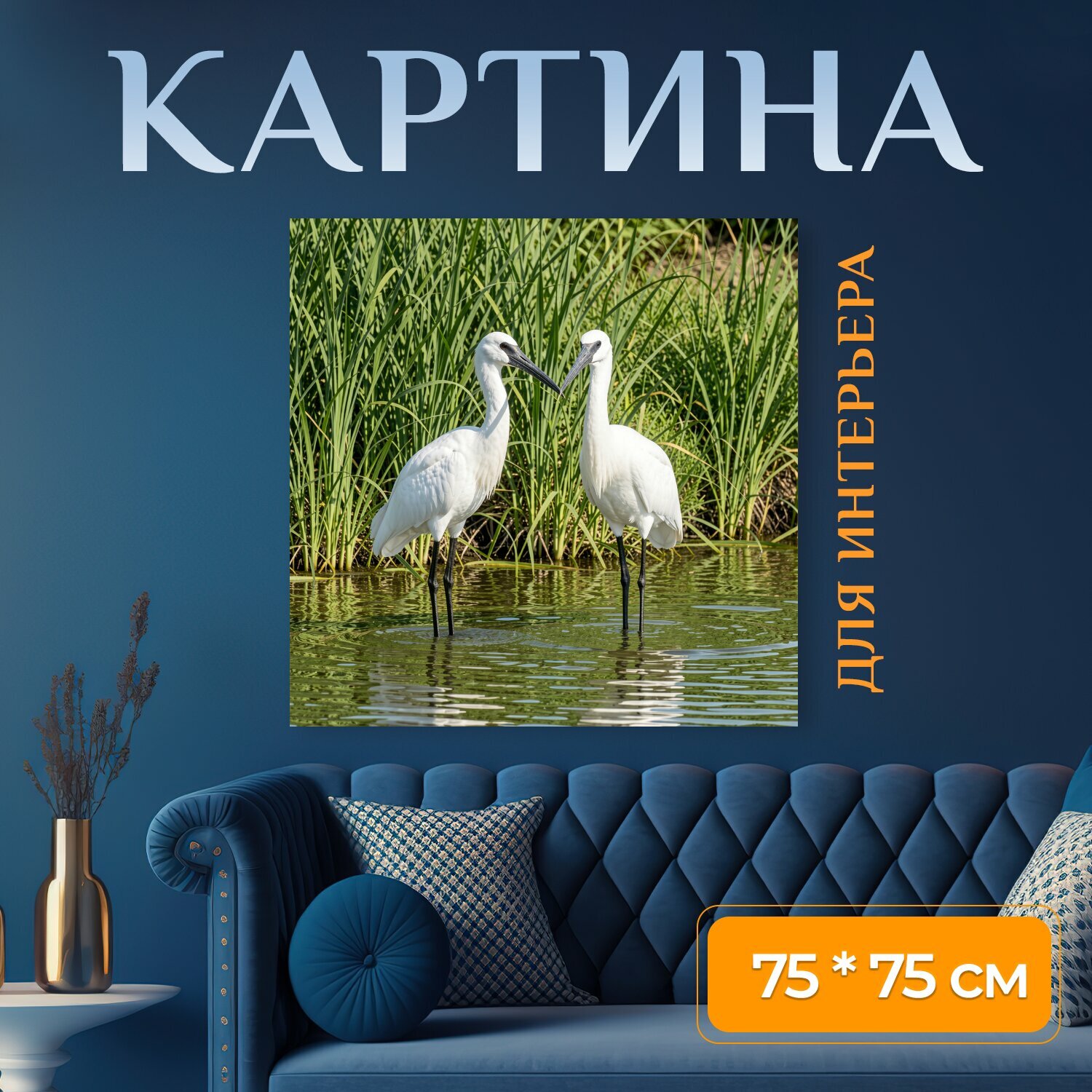 Картина на холсте "Две белые цапли с длинными черными ногами и острыми клювами стоят в мелкой воде на фоне густой зеленой травы и камышей." на подрамнике 75х75 см. для интерьера
