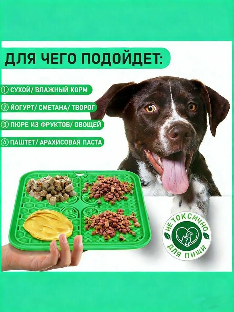 Миска для животных