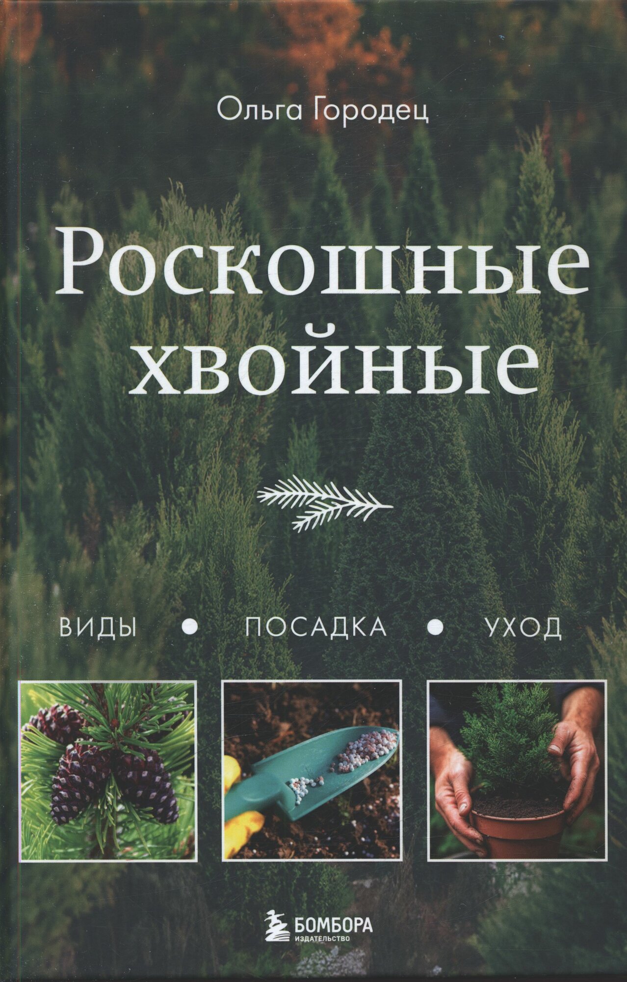 Городец О. В. Роскошные хвойные. Виды, посадка, уход