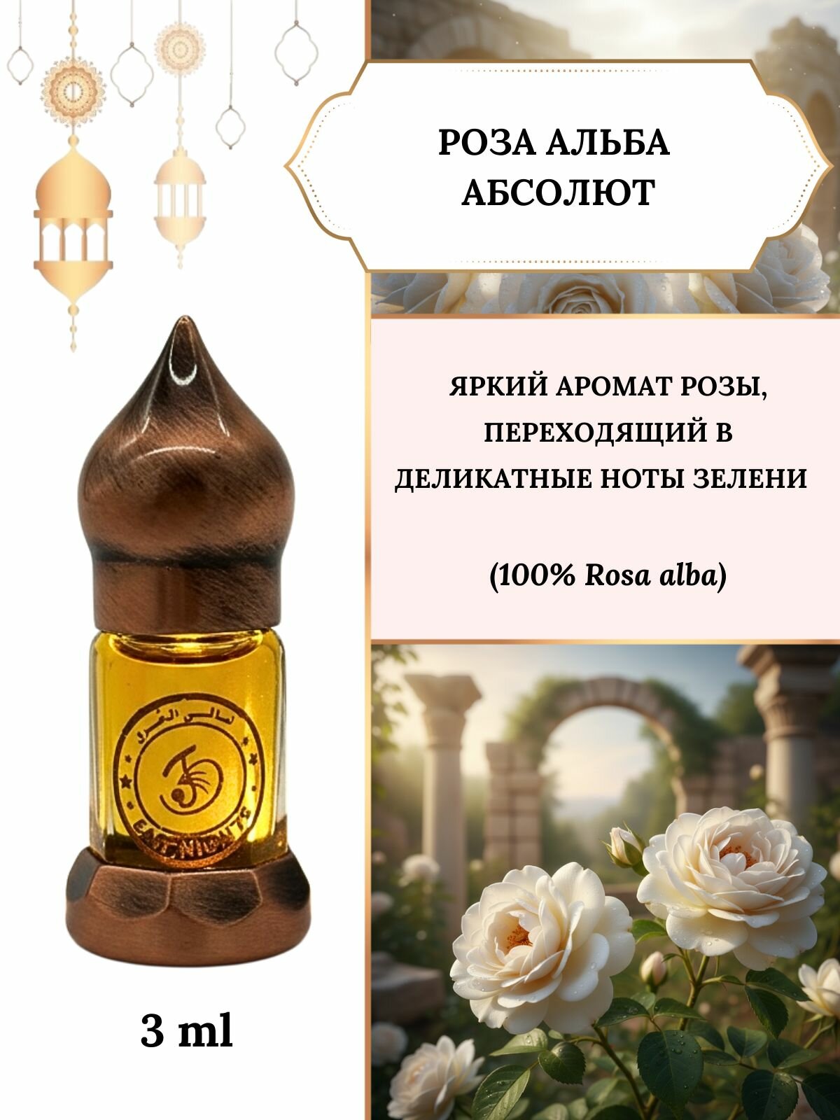 Роза Альба абсолют