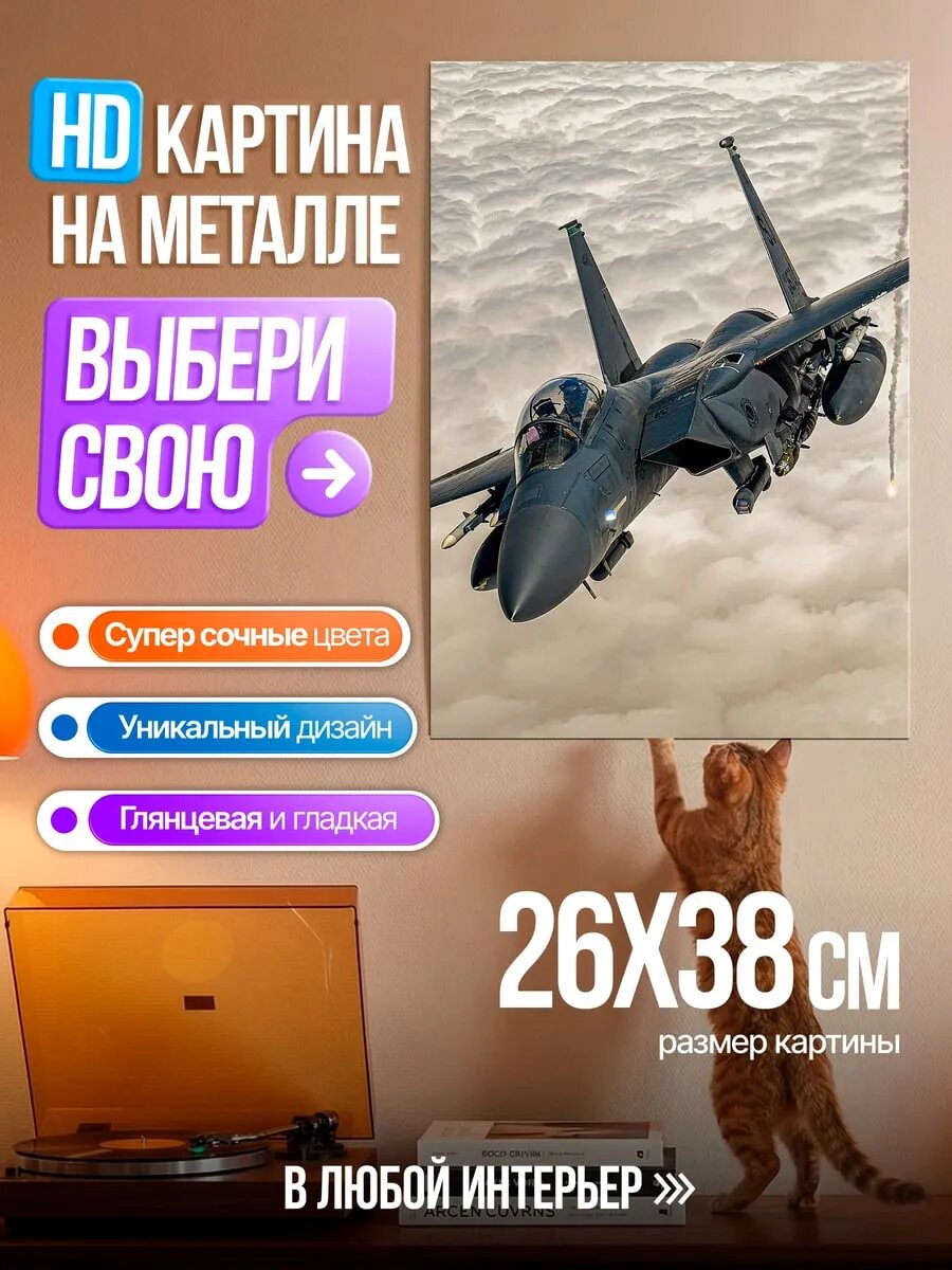 Картина на HD металле Истребитель в небе