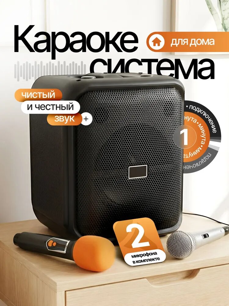 Караоке система с двумя микрофонами