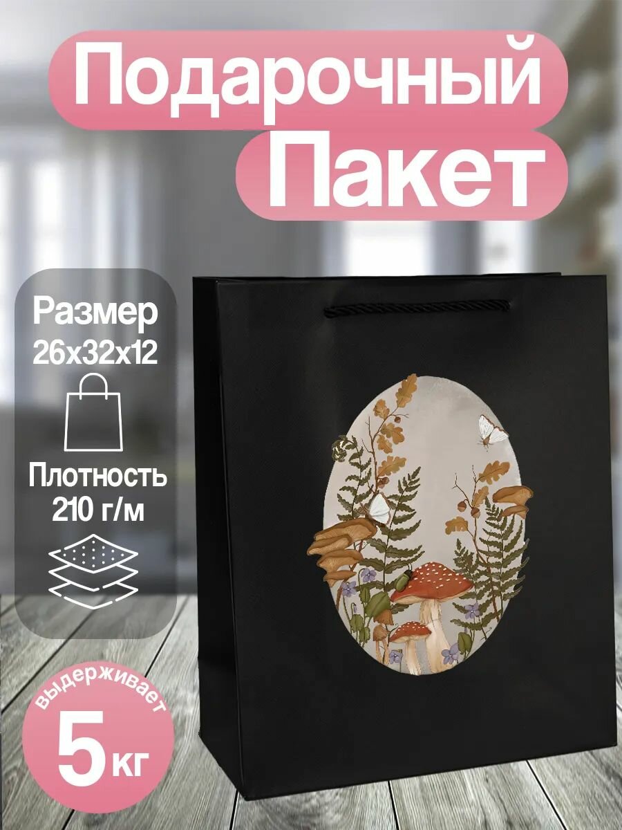 Пакет подарочный гоблинкор Pinterest, упаковка для подарка, 26х31 см