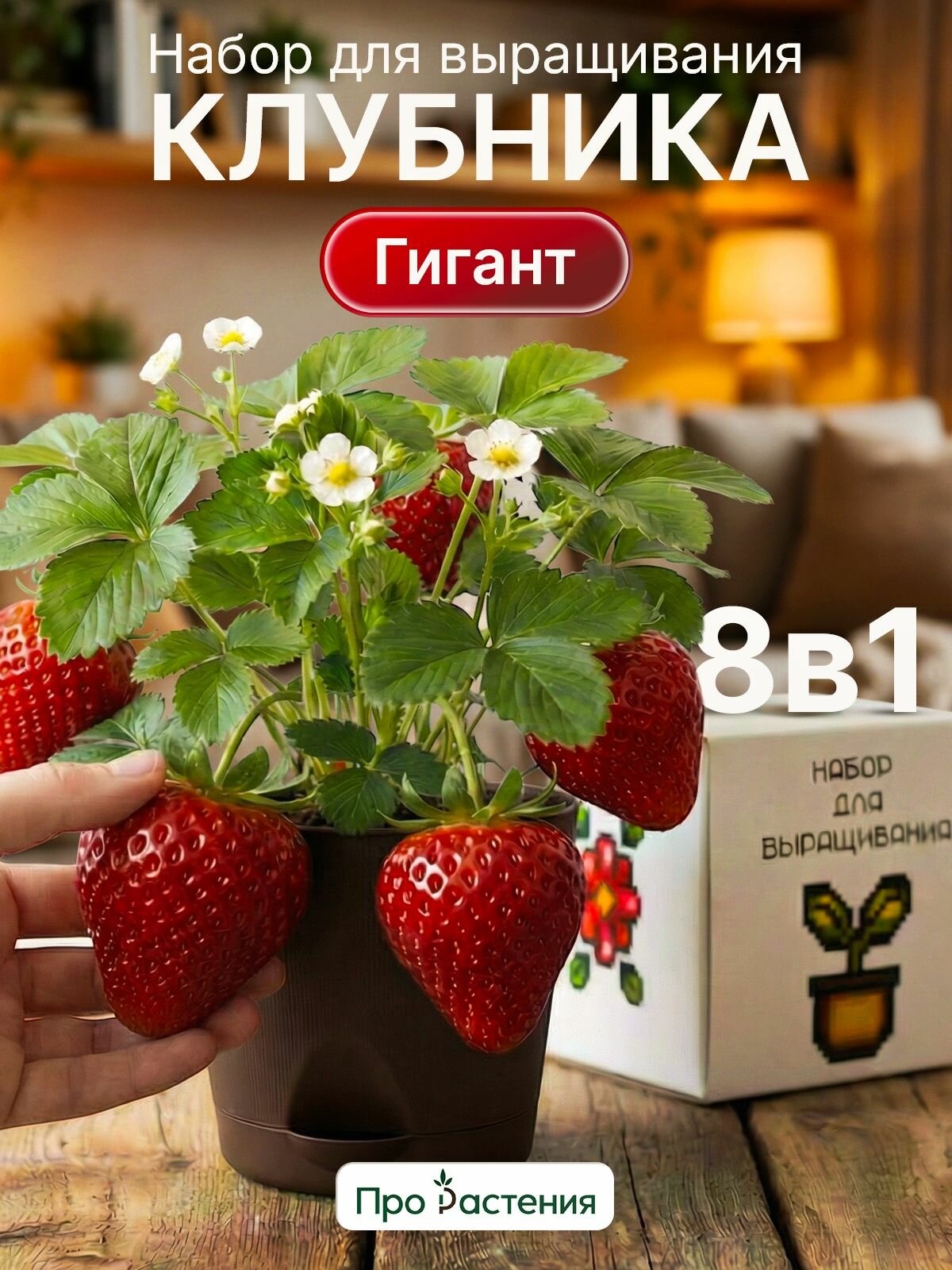 Набор для выращивания растений Клубника гигант с кашпо Про Растения