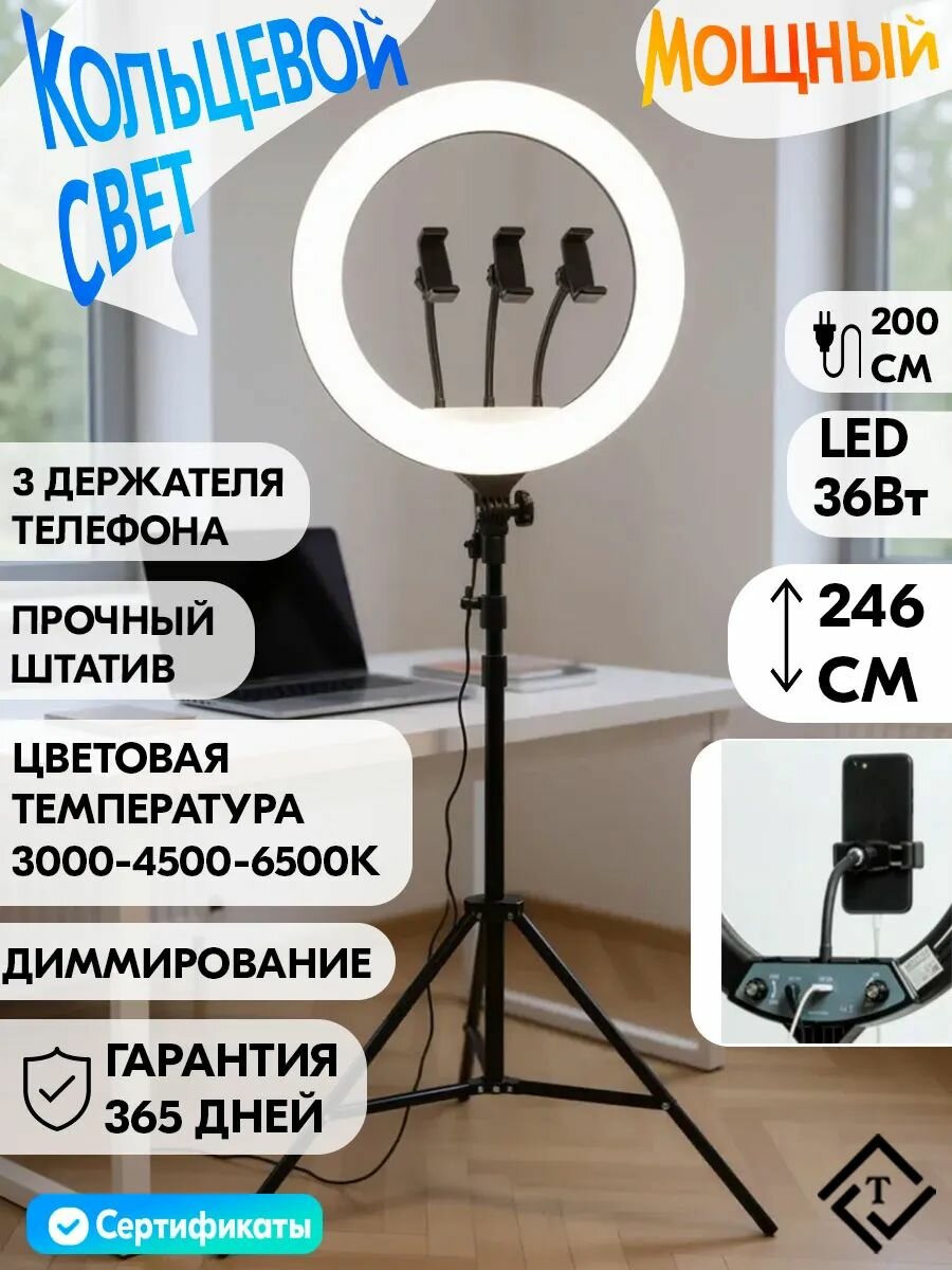 Кольцевой свет напольный светильник LED TL-603 черный ARTSTYLE 220В LED штатив