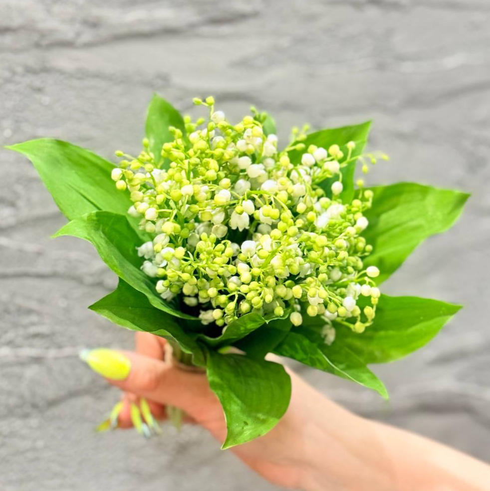 Мини букет из ландышей. Весенние цветы ландыши для девушки