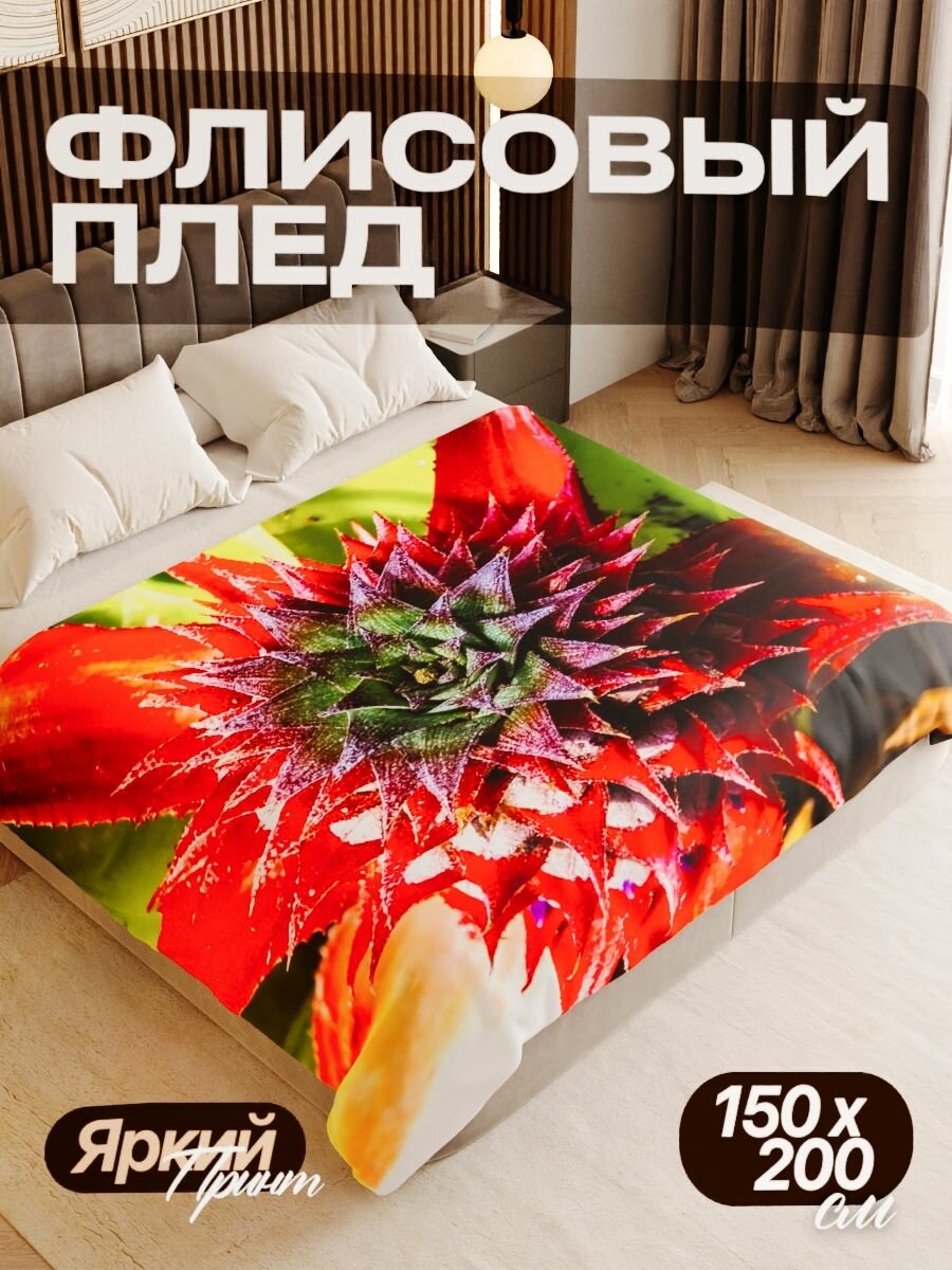 Плед флисовый 150х200 см мягкий теплый покрывало для дома