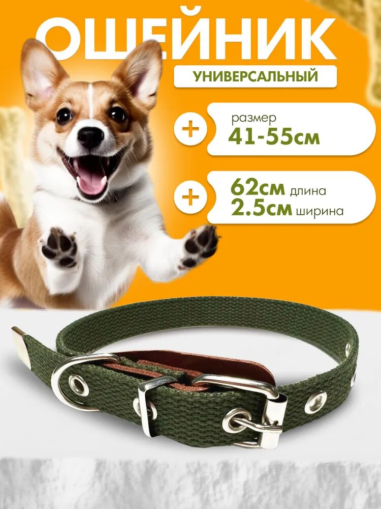 Ошейник для собак брезентовый 25мм