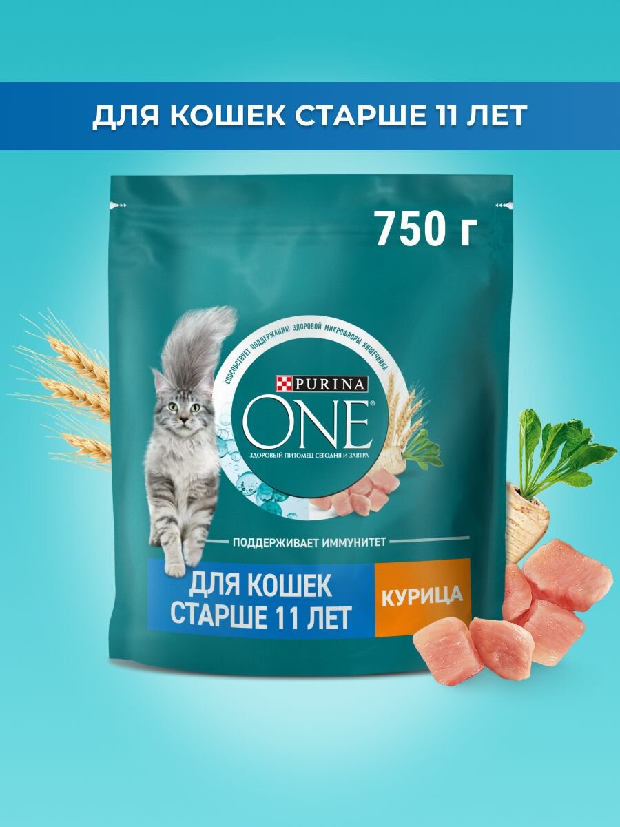 Сухой корм для кошек старше 11 лет Purina ONE , с курицей и цельными злаками, 750 г