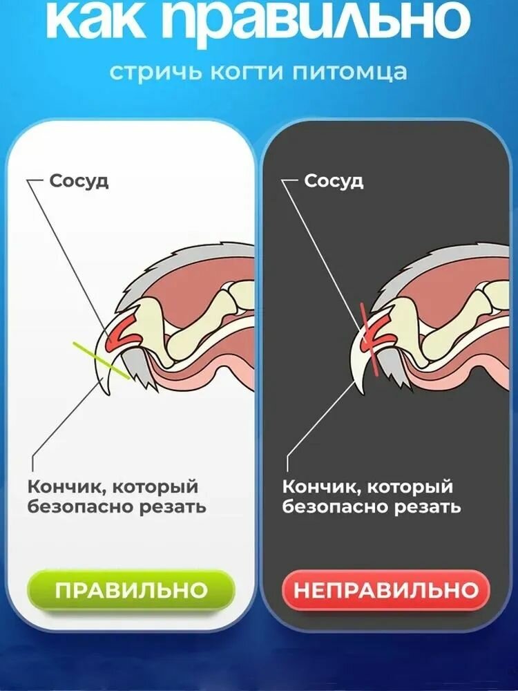 Когтерез для кошек и собак всех пород и размеров - ножницы для когтей с пилочкой, кусачки 16 см когтерез для собак и кошек ножницы для когтей кусачки для животных