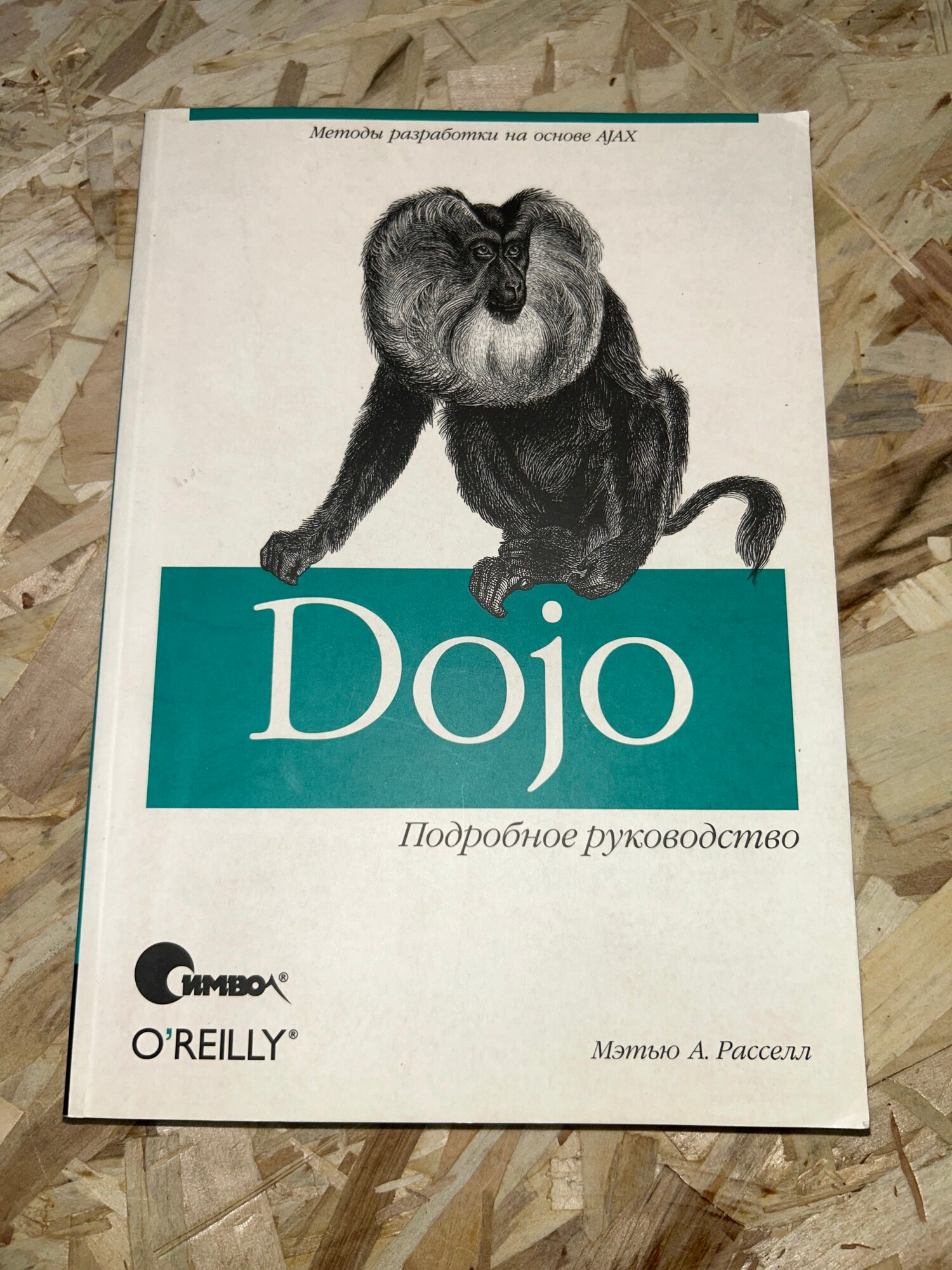 Dojo. Подробное руководство