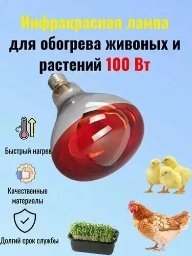 Лампа инфракрасная для обогрева цыплят, кур, свиней, растений и теплиц 100 Вт