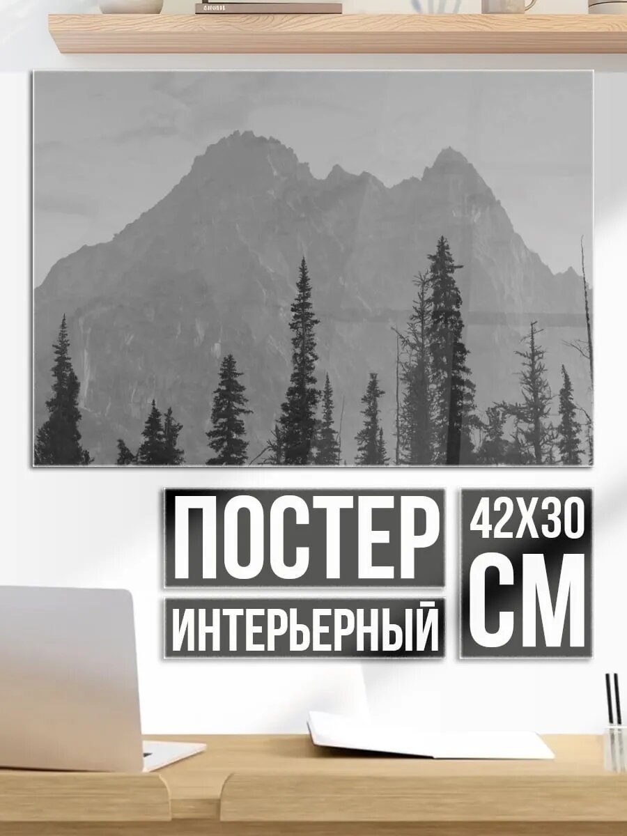 Плакат постер Горный лес