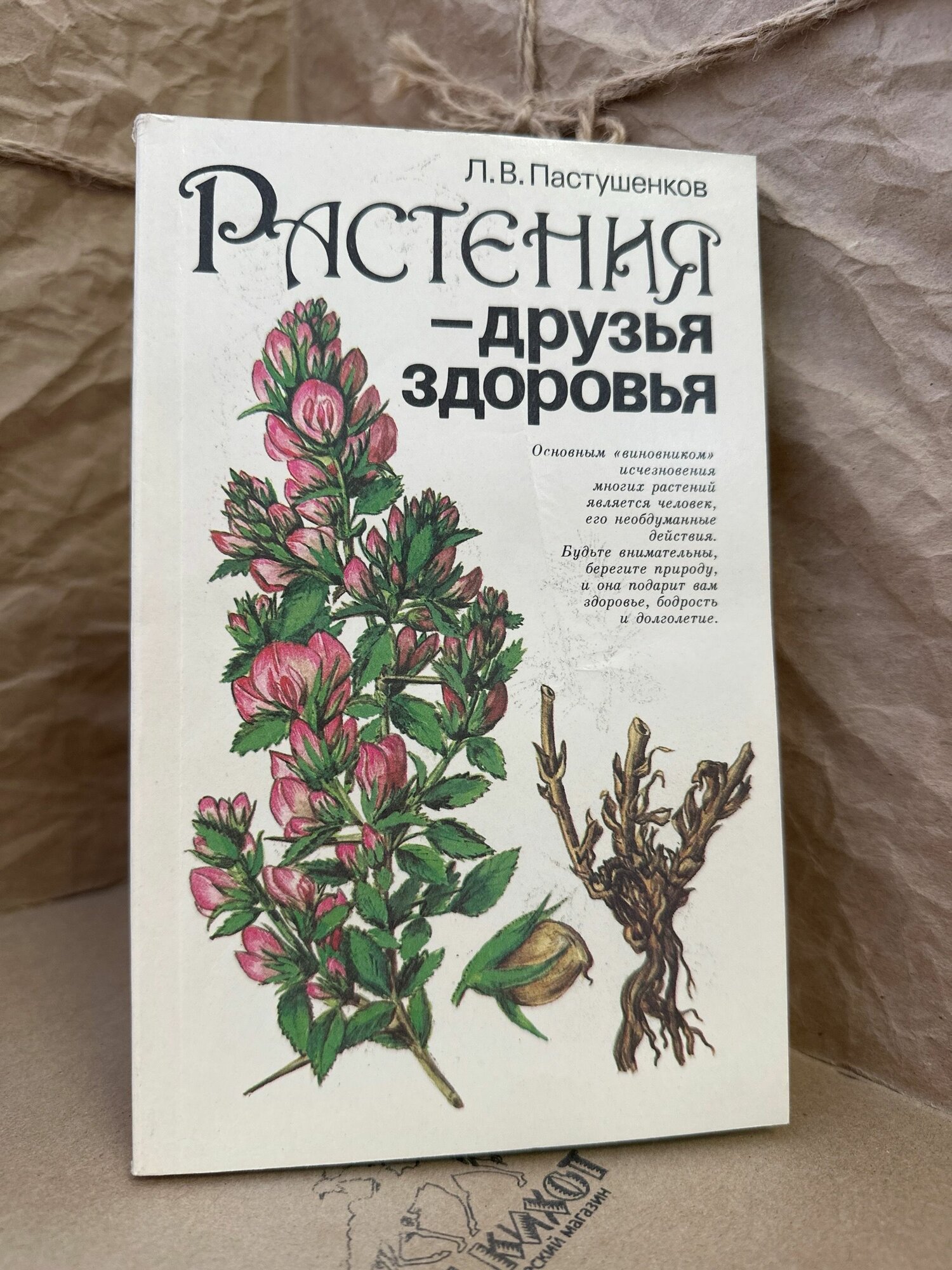 Растения - друзья здоровья