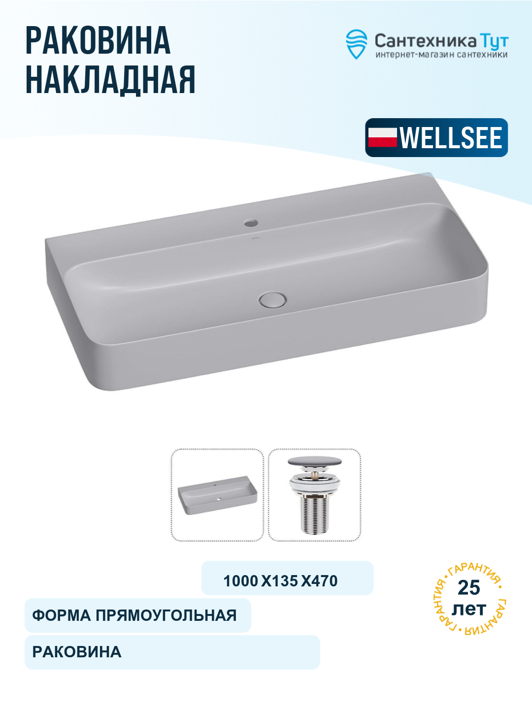 Раковина Wellsee Clermont 100 302617000 цвет Серый матовый