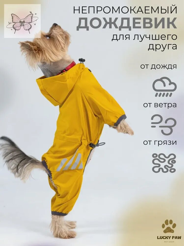 Желтый дождевик для собак L, непромокаемый, с капюшоном, для йоркширского терьера, шпица