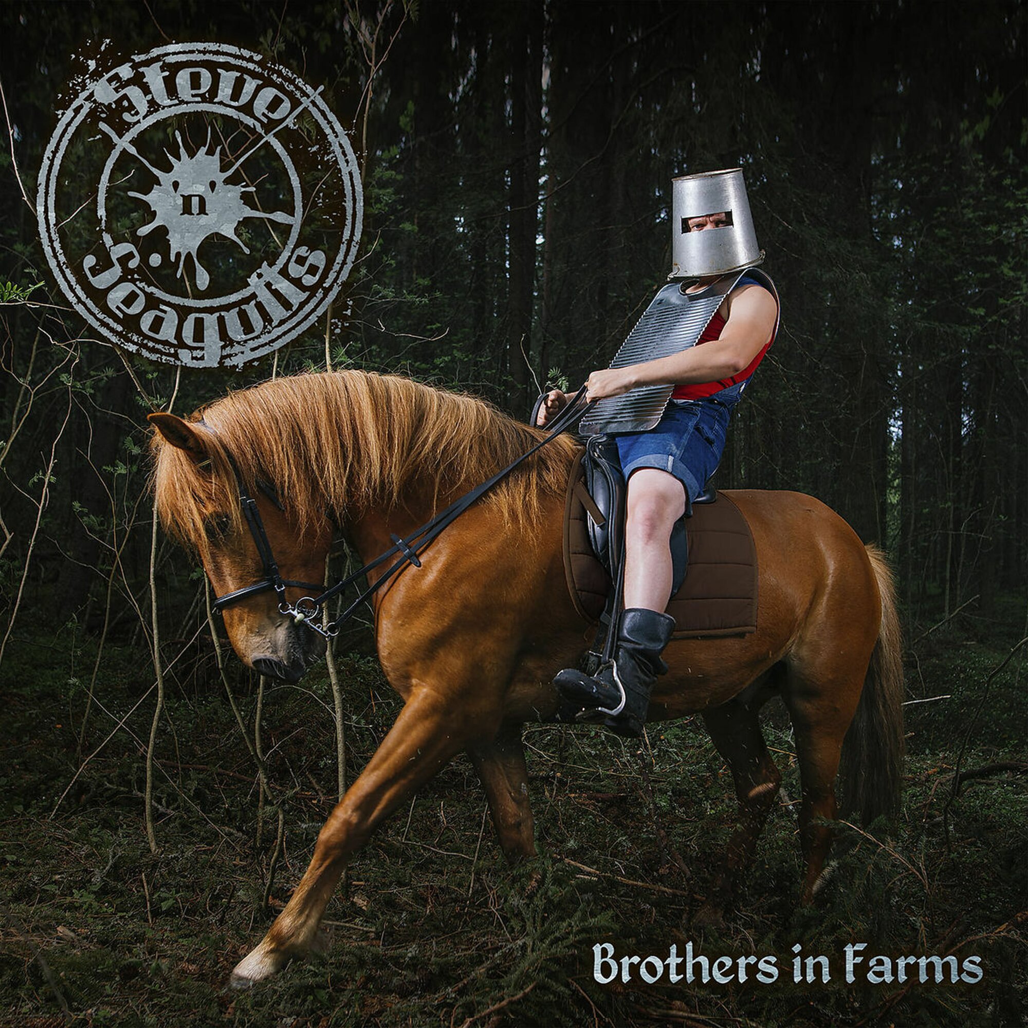 CD Диск Steve 'n' Seagulls - Brothers In Farms (CD) 2016, Digisleeve