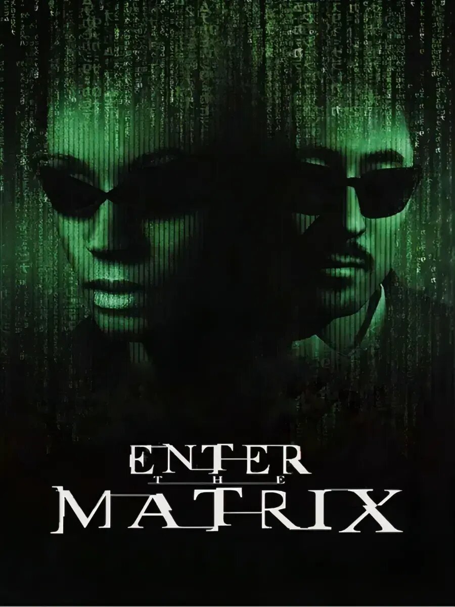 Enter the Matrix, игра для ПК (на флешке USB)