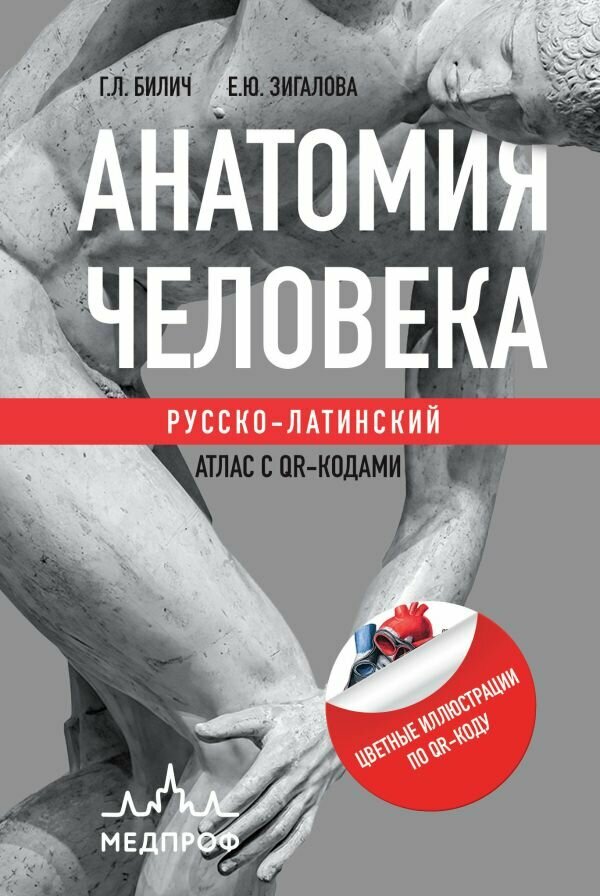 Анатомический атлас ЭКСМО Русско-латинский атлас с QR-кодами на цветные изображения. Анатомия человека, Билич Г. Л, Зигалова Е. Ю, 704 стр, 2024 г.