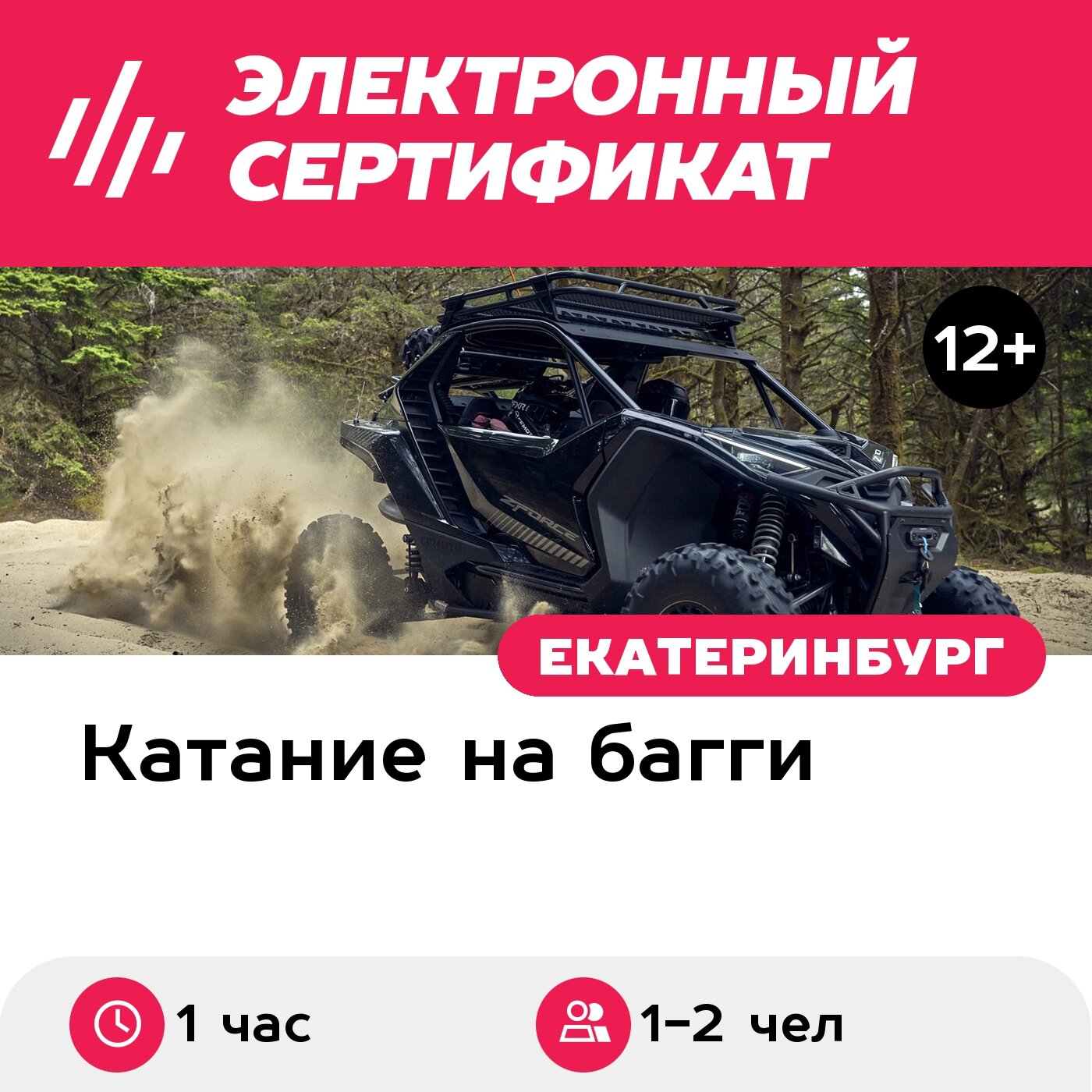 Подарочный сертификат Катание на багги, программа Базовая, 1 чел. в составе группы (1 час)
