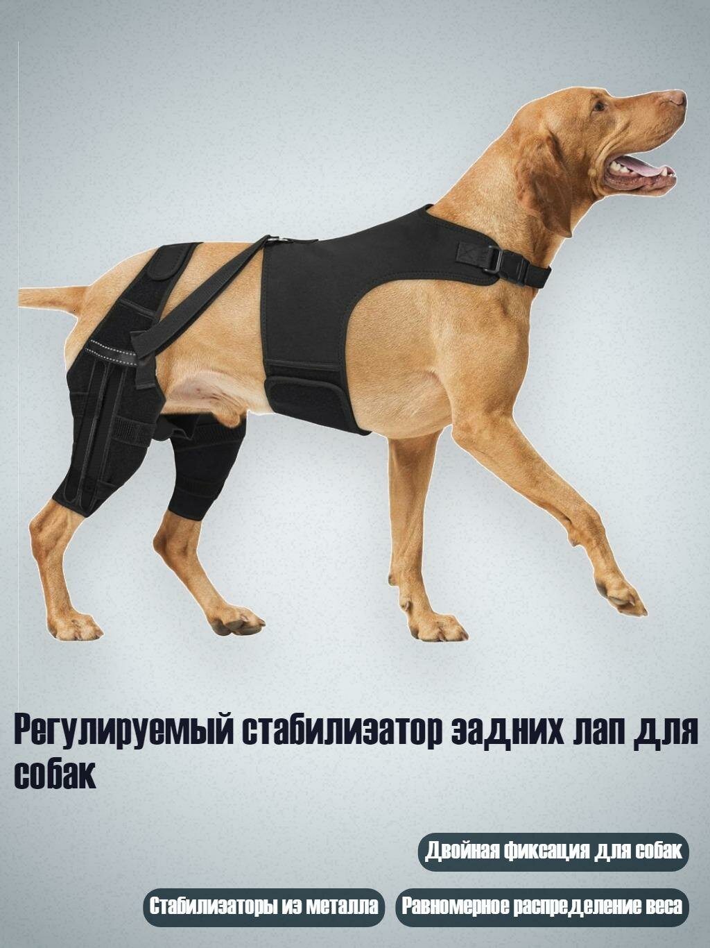 Регулируемый стабилизатор задних лап для собак, XS