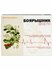 Боярышник форте N30 капс ПО 300МГ — Капсулы массой 300 мг - 30 шт в уп.