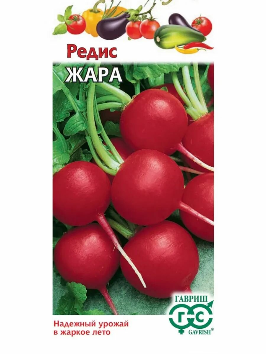 Семена "Редис Жара"