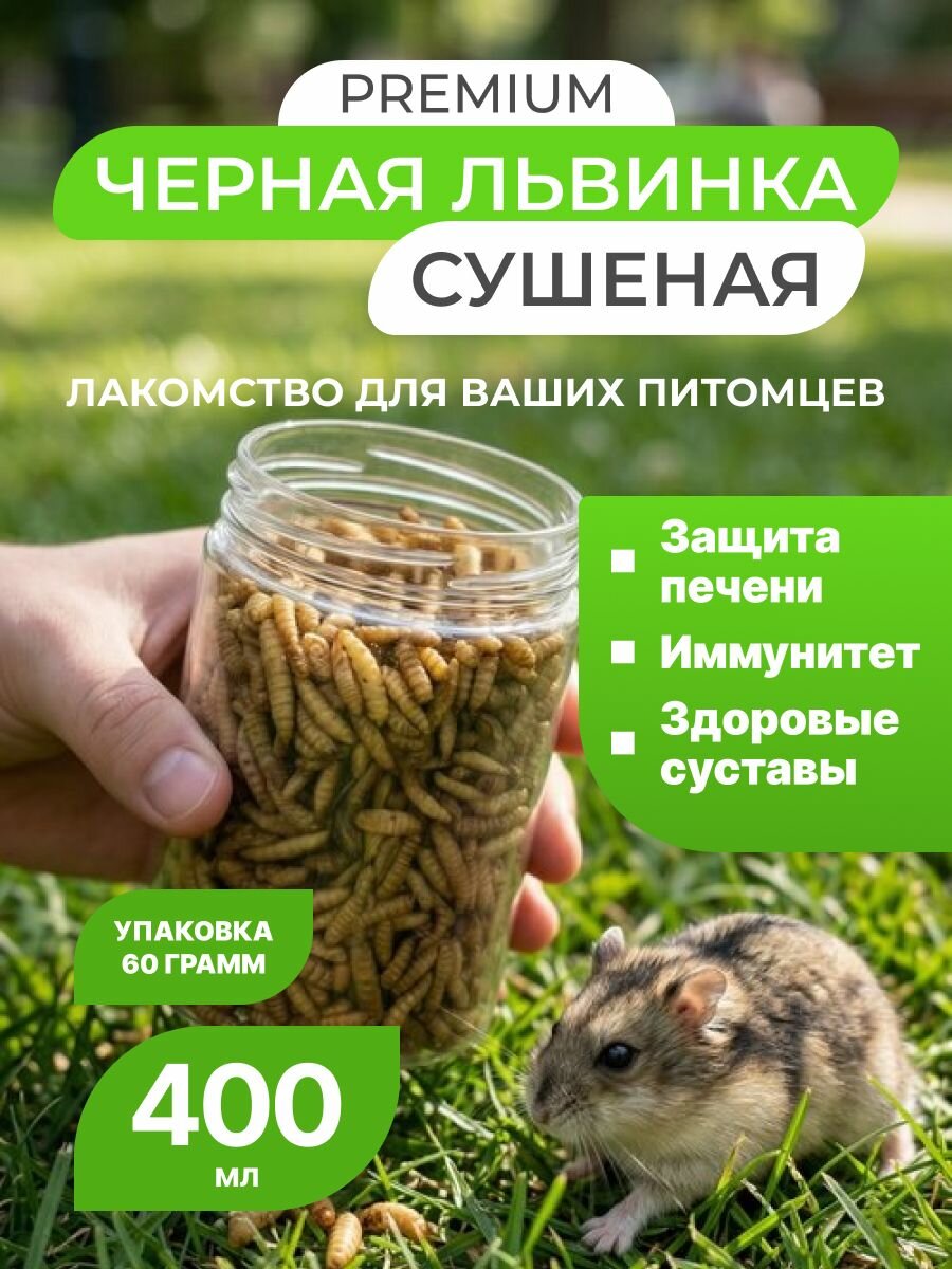 Черная львинка лакомство для черепах, вкусняшки для крыс, джунгариков, птиц, кур, аквариумных рыбок, хомяков кормовые насекомые лакомство для питомцев для рептилий для грызунов для птиц для рыб