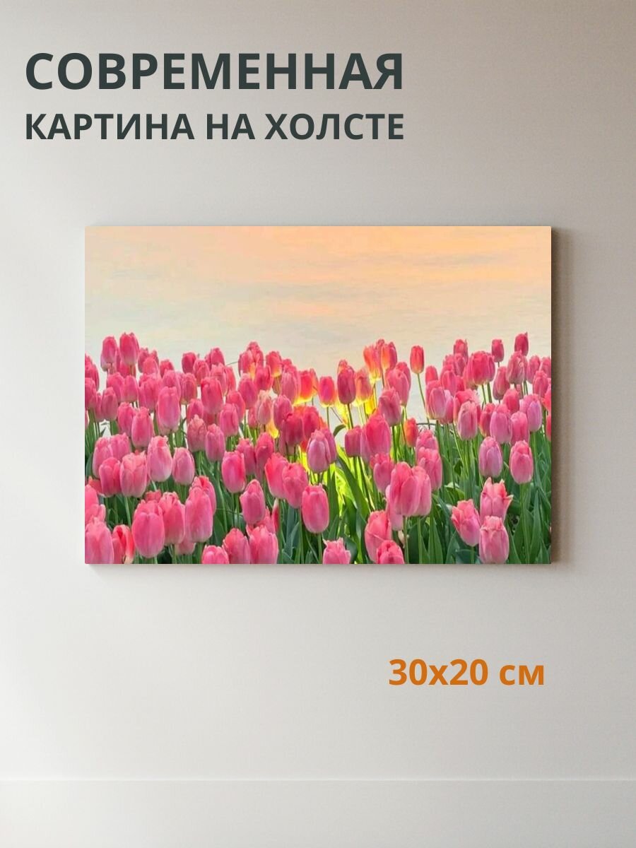 Картина на холсте Тюльпаны 30x20 см